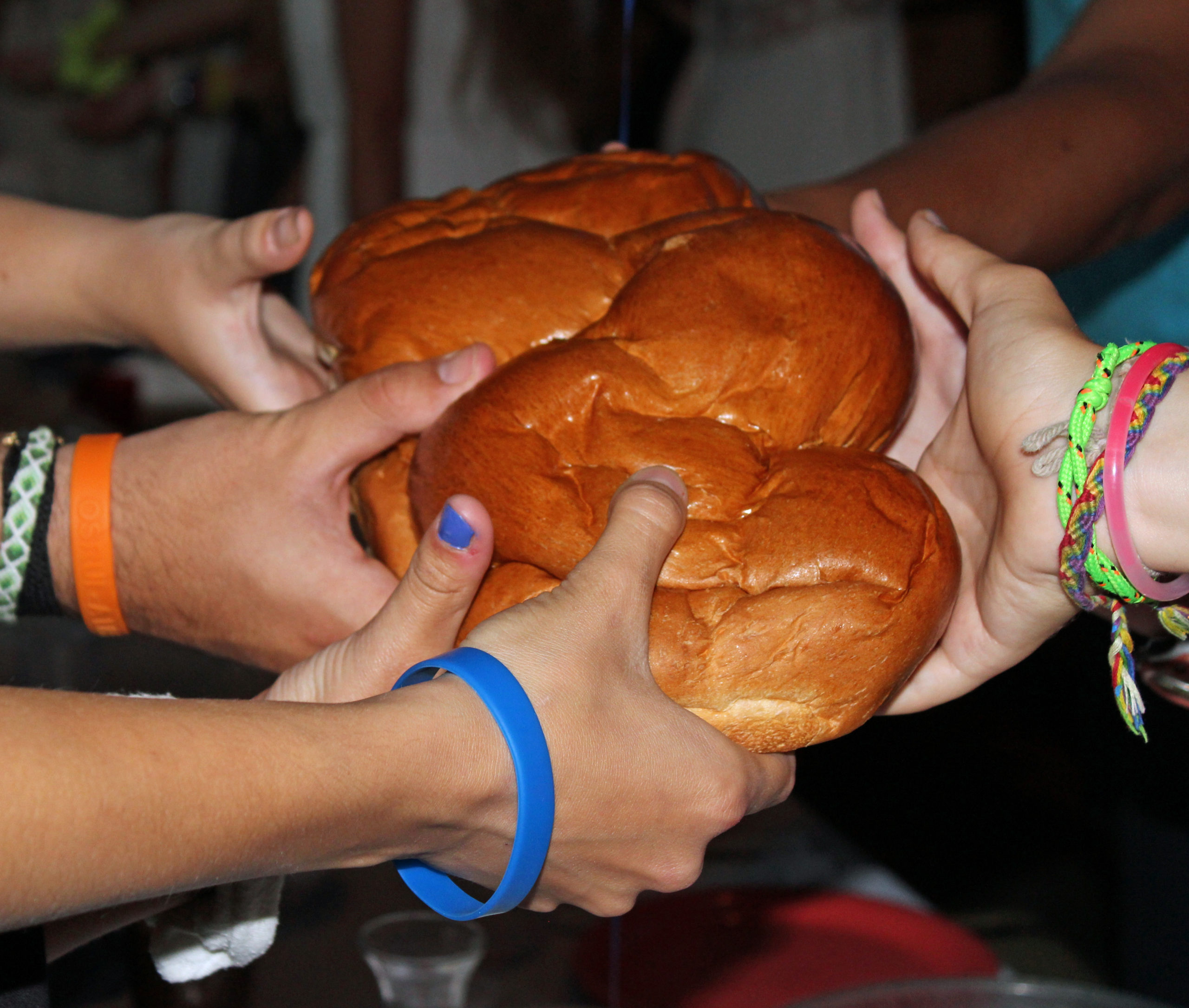 Shabbat Shalom from OSRUI! - OSRUI - Olin-Sang-Ruby Union Institute