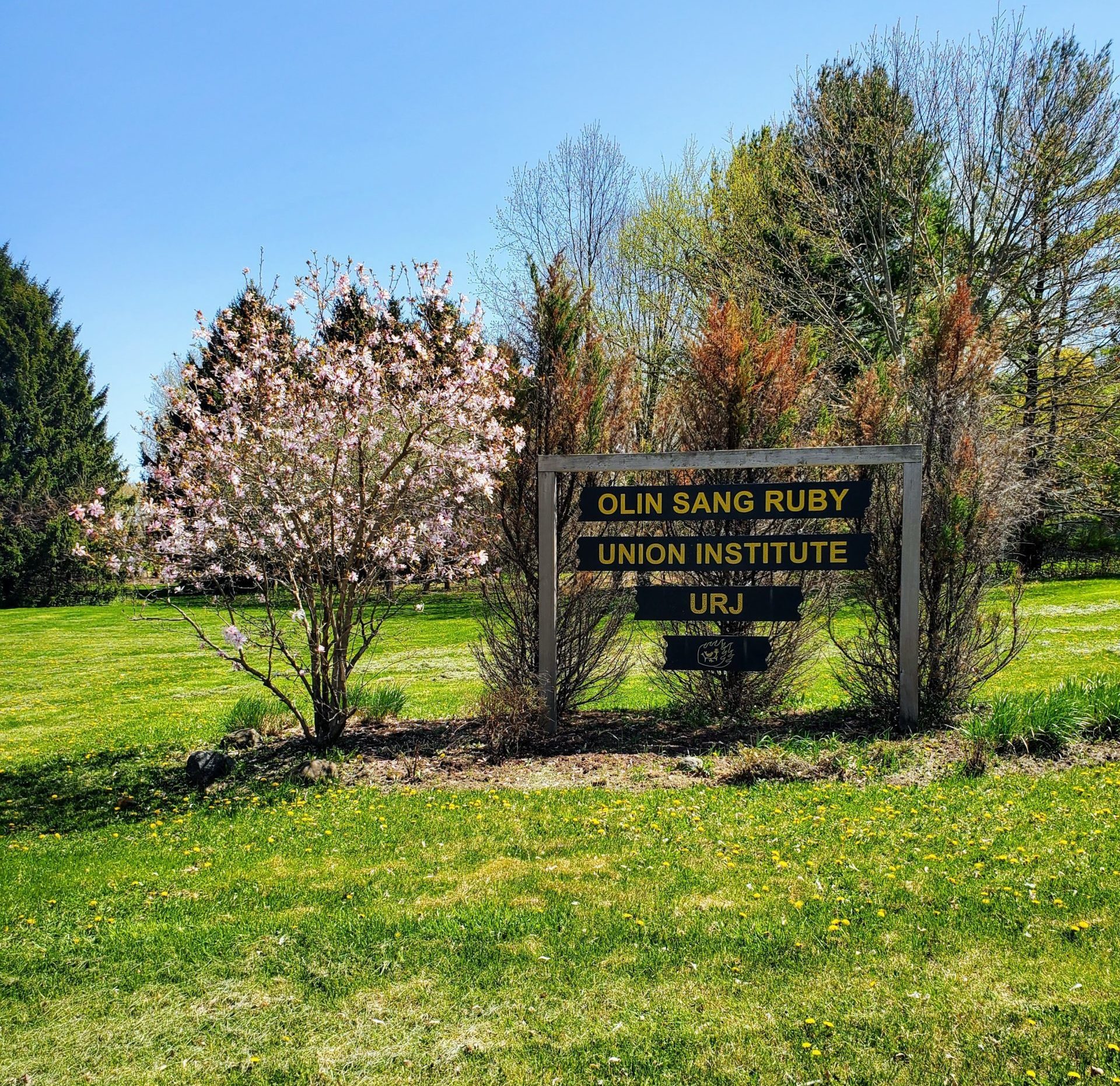 Blog - OSRUI - Olin Sang Ruby Union Institute